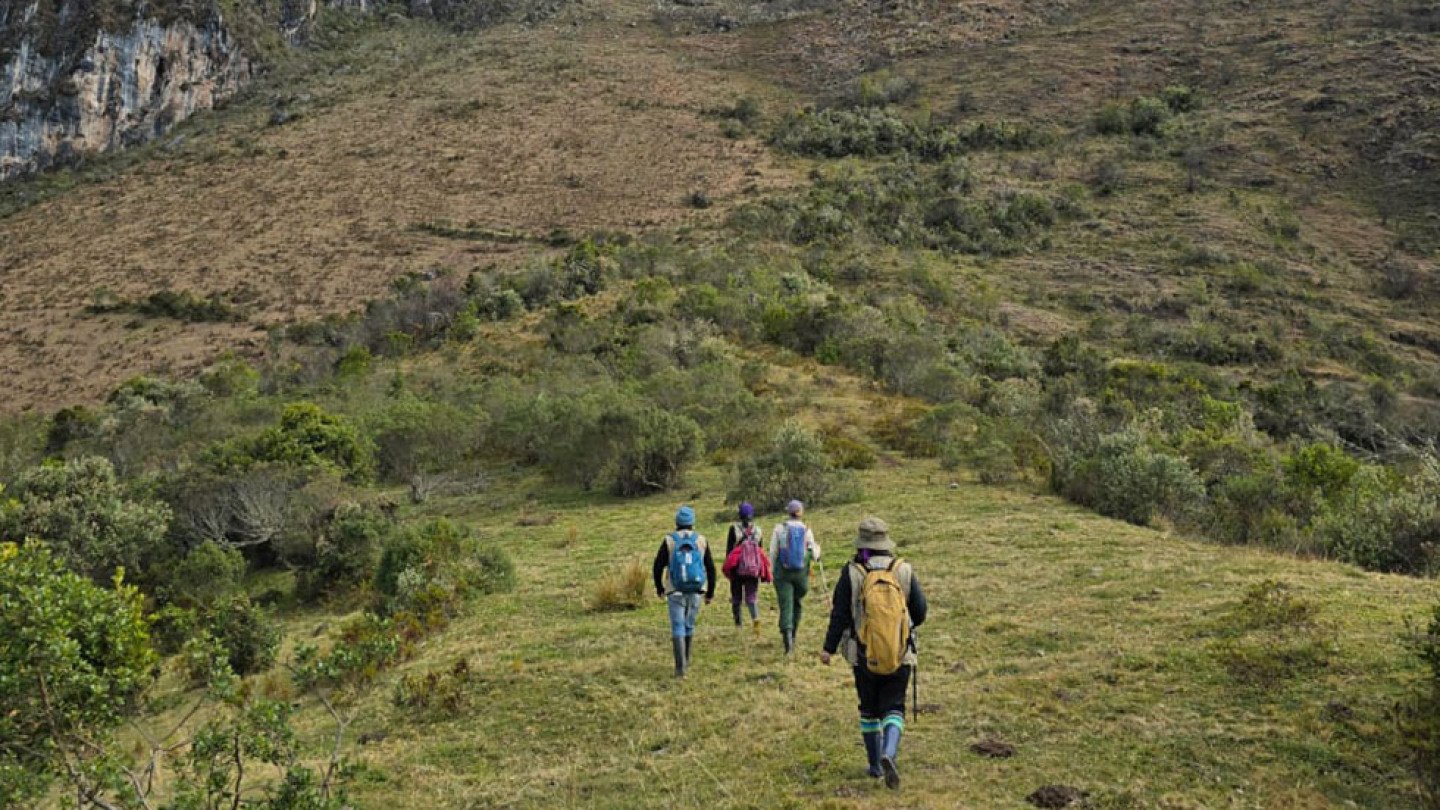 Field Work | Center for Latin American and Caribbean Studies | Brown University